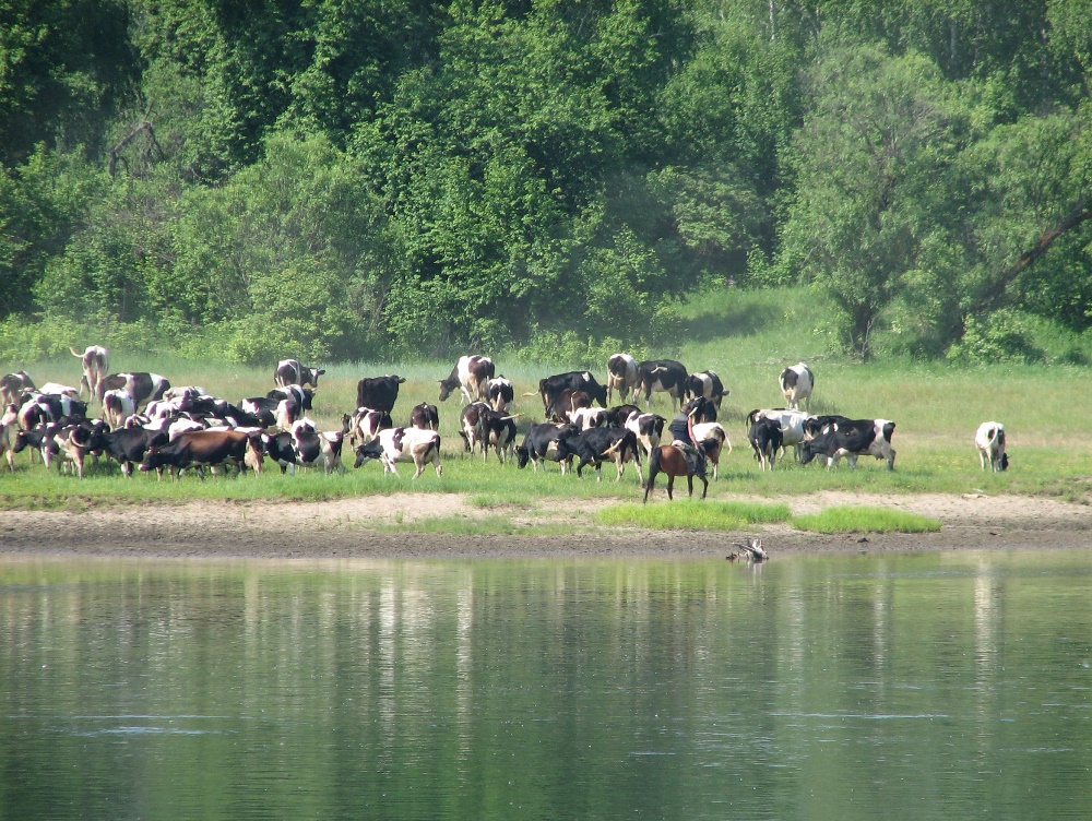 Flusskreuzfahrten auf der Jenissei: Krasnoyarsk - - Jenissejsk ...
